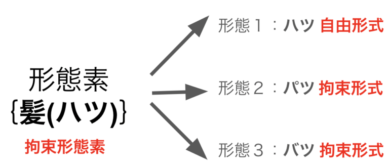 現代日本語文法①第2部 形態論 第1章【形態論の概観】を分かりやすく解説 日本語教師のはま